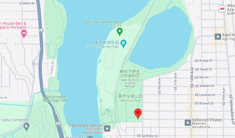 热“爆”！波特兰公共游泳池有人排便，又重开！ - Malldone 摩登时讯