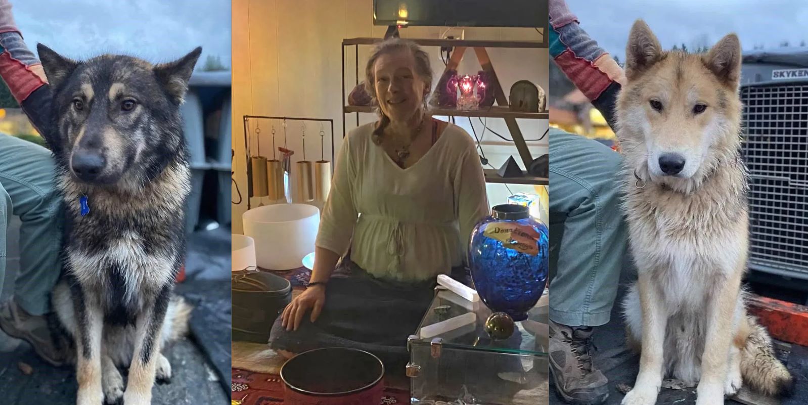 26号公路旁尸体确认，女子的丈夫被捕，两大狗下落不明！ - 摩登时讯｜美西新闻